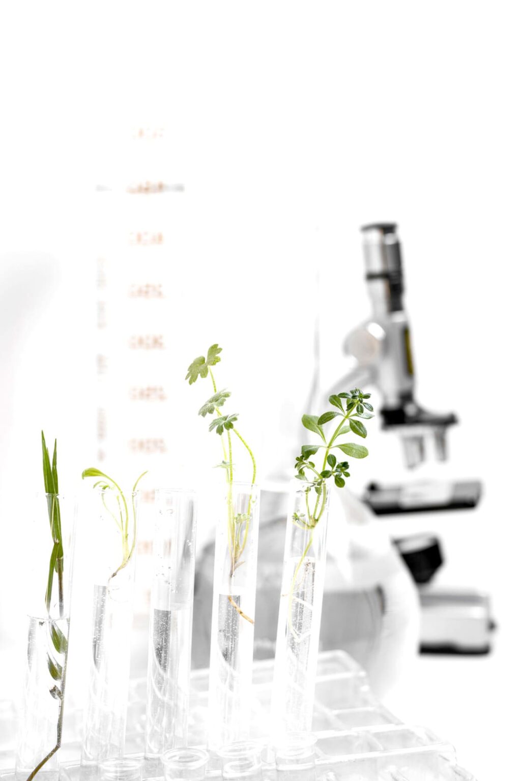 Qué es la biotecnología y cuáles son sus aplicaciones | IFFE Blog